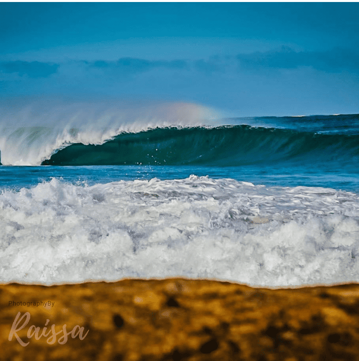 How to Read a Surf Report and Predict Epic Surf